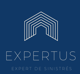 Expertus
